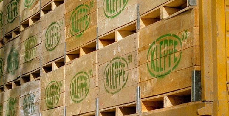 Una reconocida empresa de la región busca incorporar empleados | ANR ...