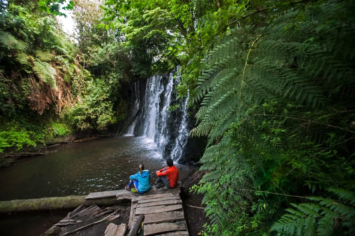 Turismo sostenible en Chile: el paraíso verde en Lago Ranco | ANR
