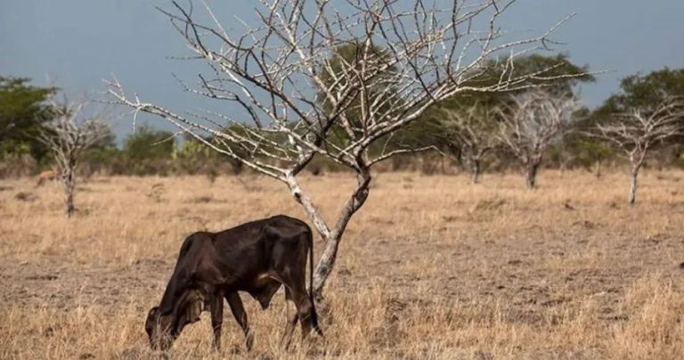 Expertos aseguran que se viene una primavera- verano con “riesgos de ...