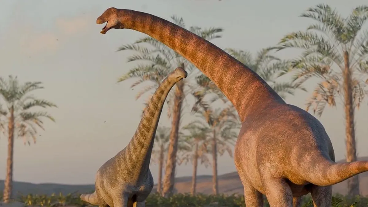 Insólito hallazgo a 30 kilómetros de Roca: una nueva fauna de 75 ...