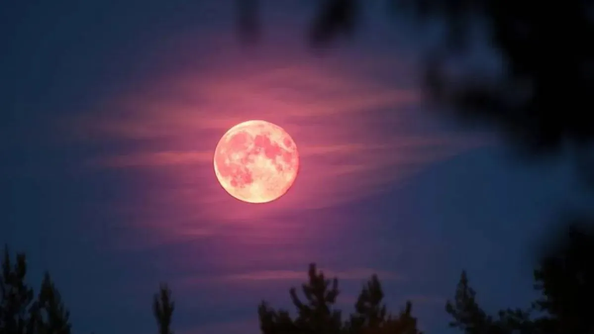 Llega la Luna Rosa: cuándo y dónde podrá observarse este fenómeno ...