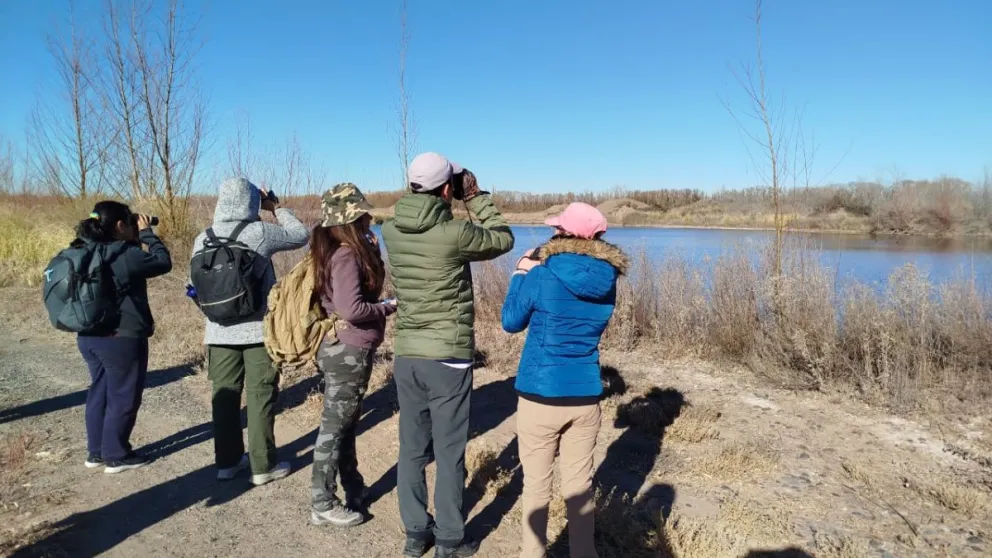 Observadores de aves de todo el país se reúnen en Roca: tres días de ...