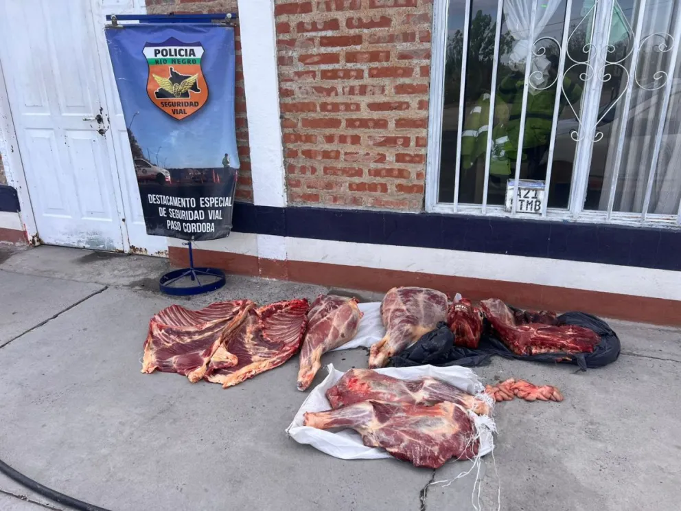 Setenta kilos de carne faenada sin control fueron decomisados en Paso ...