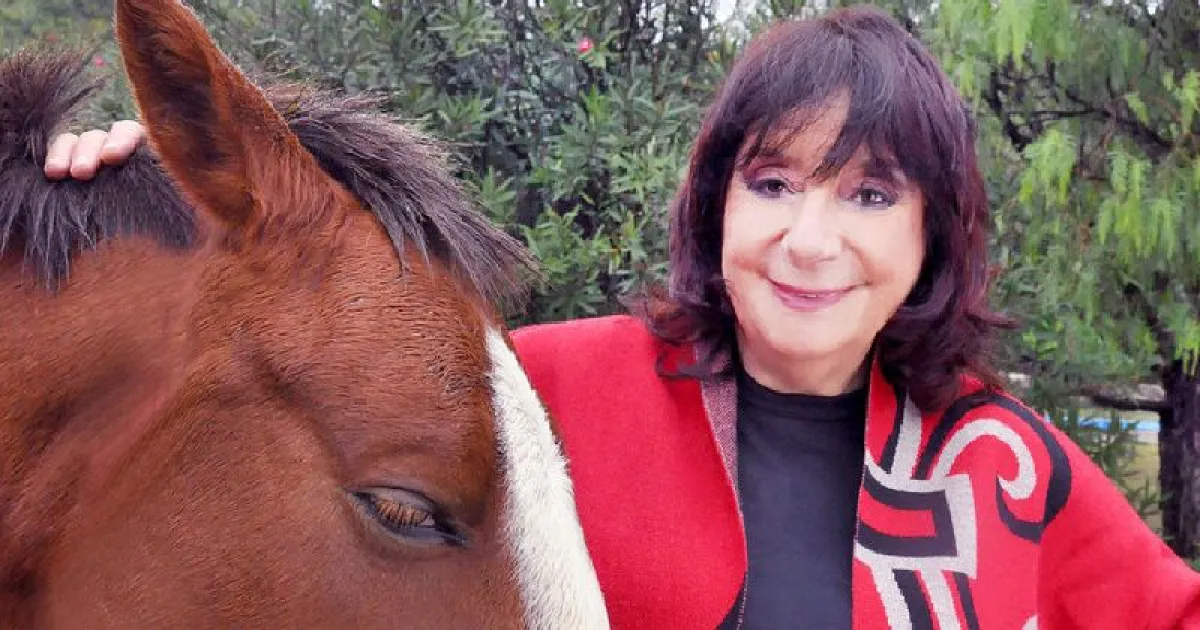 Nonton bokep si montok