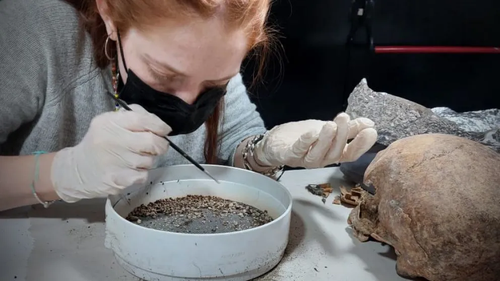 Ciencia "made in Roca": crean la primera colección de huesos de la ...