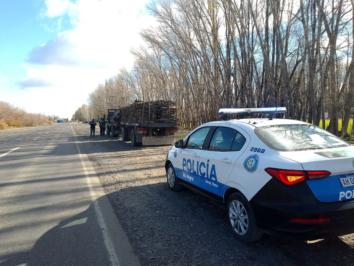 Decomiso: transportaba 3.000 kilos de leña frutal en la Ruta 22 sin ...